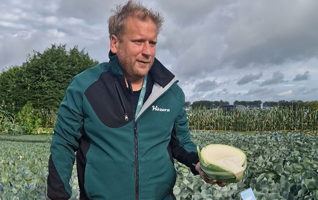 Innovating Cabbage Breeding: Hazera’s Brassica Excellence at the Open ...